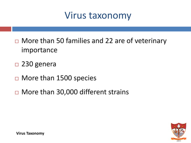 virus taxonomy and classification | PDF | Biological Sciences | Science