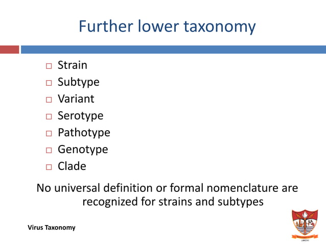 virus taxonomy and classification | PDF | Biological Sciences | Science