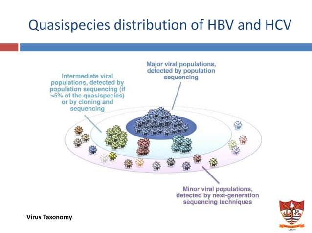 virus taxonomy and classification | PDF | Biological Sciences | Science