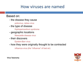 virus taxonomy and classification | PDF