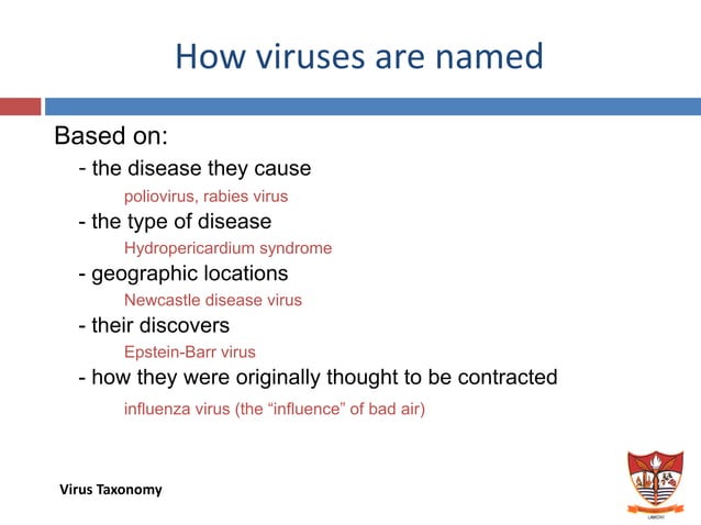 virus taxonomy and classification | PDF | Biological Sciences | Science