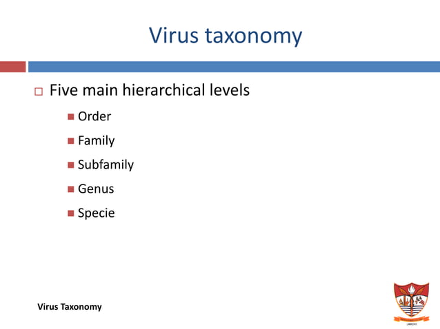 virus taxonomy and classification | PDF | Biological Sciences | Science