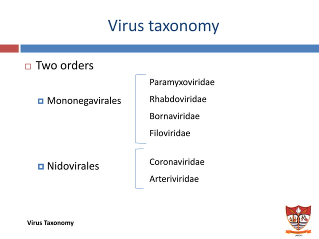 virus taxonomy and classification | PDF | Biological Sciences | Science