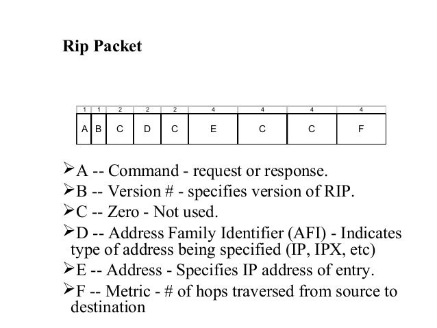 Routing Information Protocol Rip