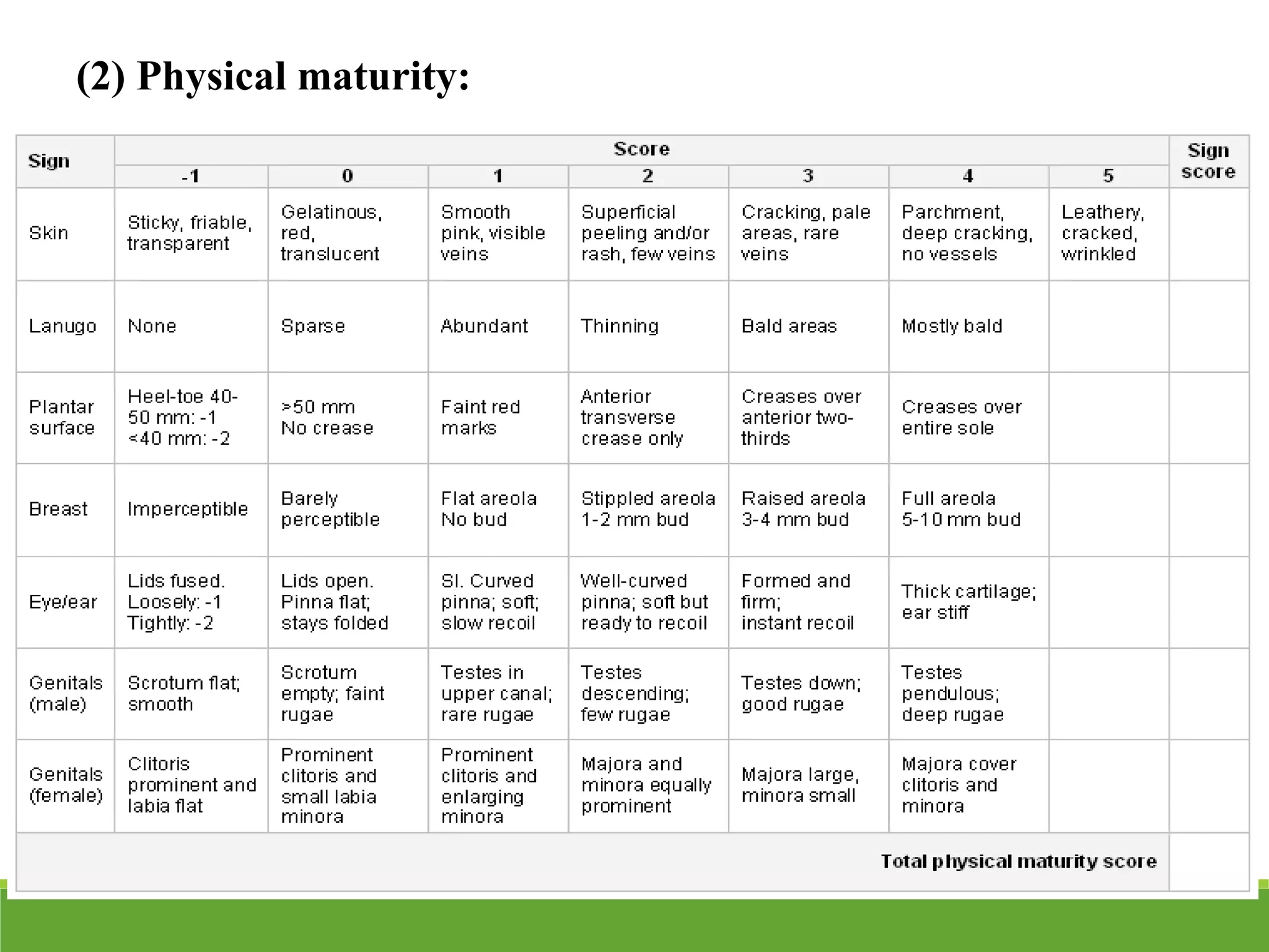 Lecture 4. Normal Newborn | PPTX | Pregnancy | Reproductive Health