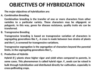 hybridization ppt including all the important pointsa | PPT