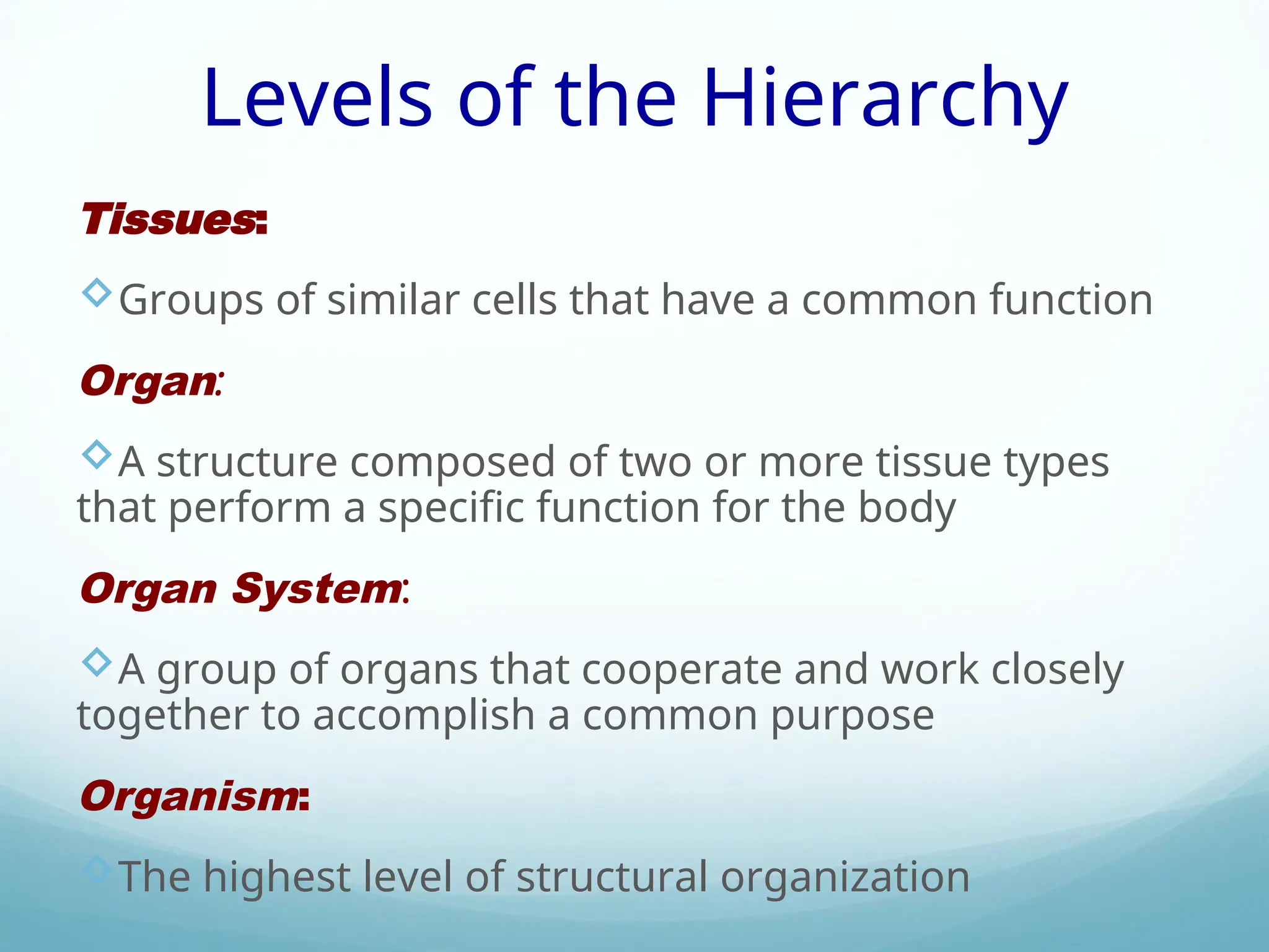 Lecture-4. Organization of the human body | PPT