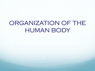 Lecture-4. Organization of the human body | PPT | Biological Sciences ...
