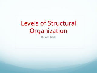 Lecture-4. Organization of the human body | PPT