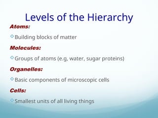 Lecture-4. Organization of the human body | PPT