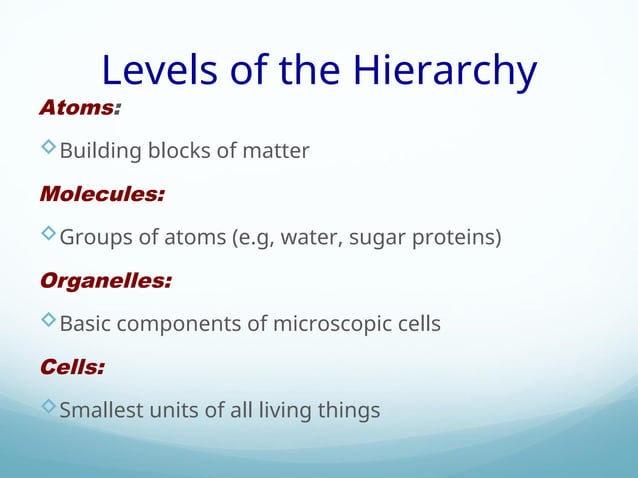 Lecture-4. Organization of the human body | PPT