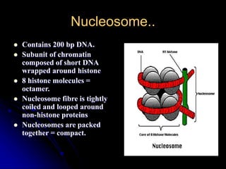 Gene And Chromosomes | PPT