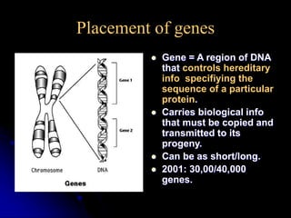 Gene And Chromosomes | PPT