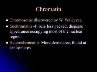 Gene And Chromosomes | PPT