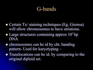 Gene And Chromosomes | PPT