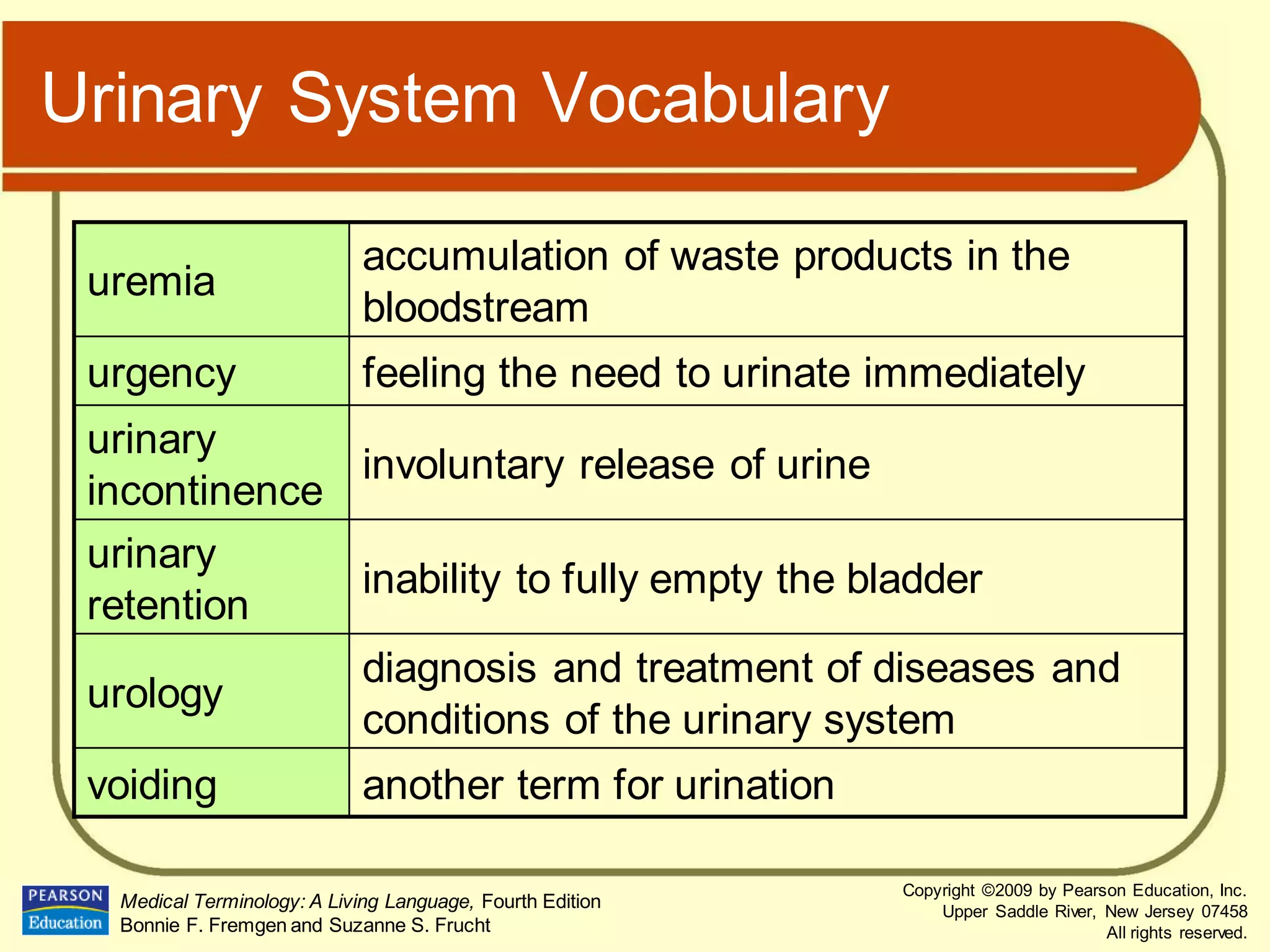 Lecture-4-Urinary system (1).pdf