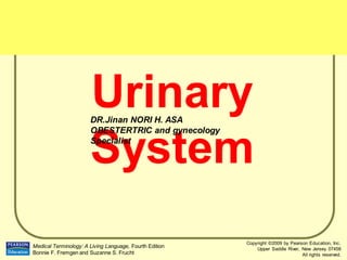 Lecture-4-Urinary system (1).pdf