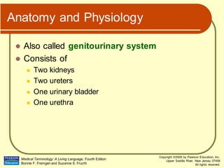 Lecture-4-Urinary system (1).pdf