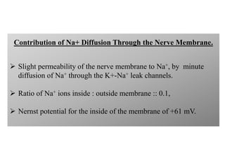 Lecture 40 resting membrane potential | PDF