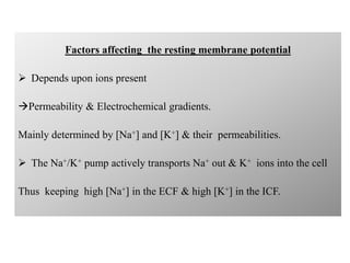 Lecture 40 resting membrane potential | PDF