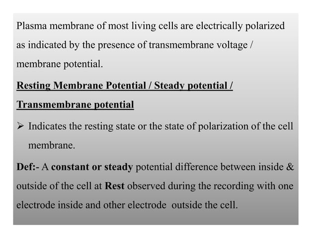 Lecture 40 resting membrane potential | PDF