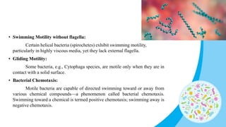 General and Cellular Morphology | PPT
