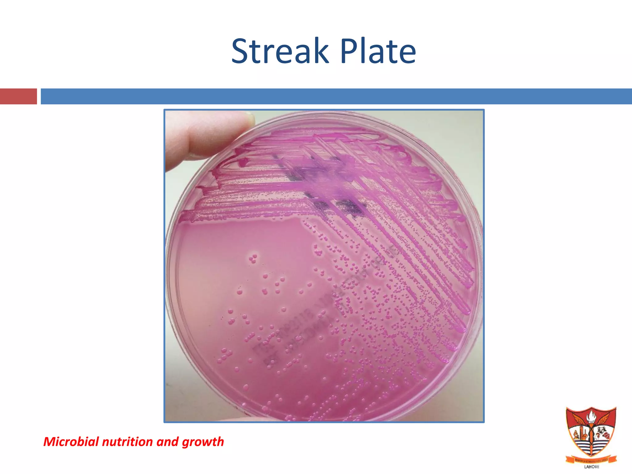 microbial nutrition and growth | PDF