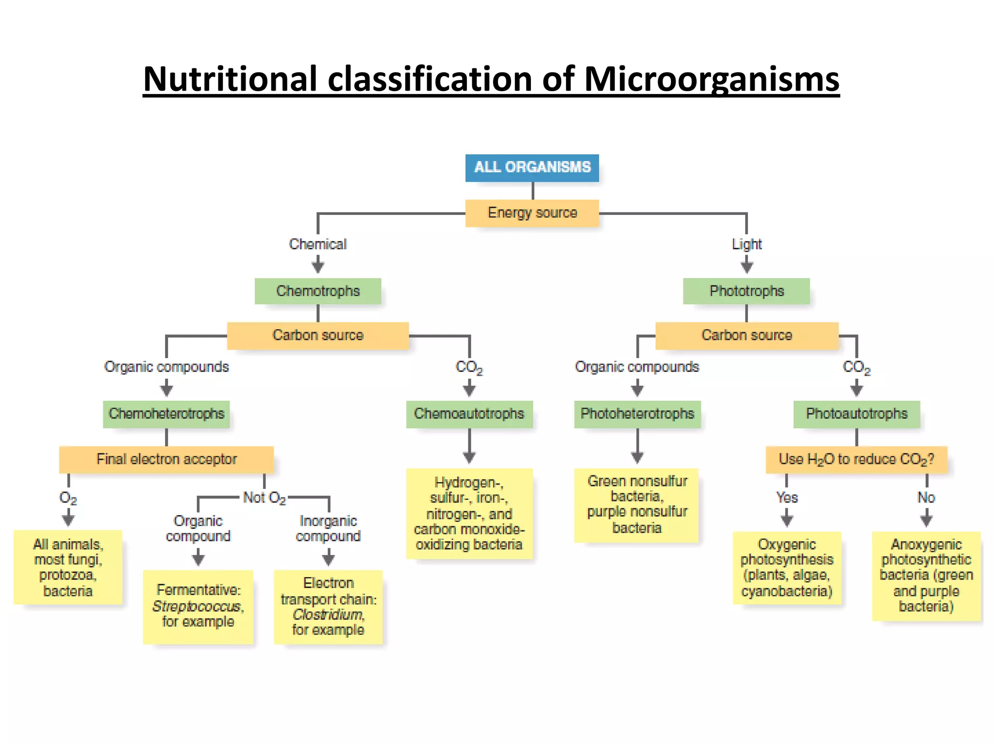 microbial nutrition and growth | PDF