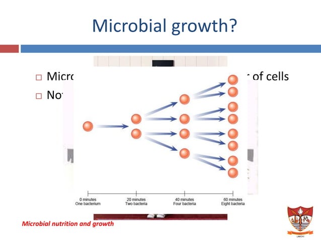microbial nutrition and growth | PDF