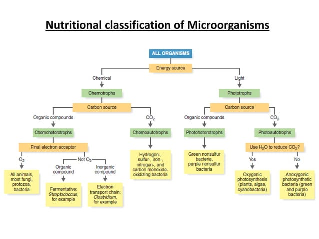 microbial nutrition and growth | PDF