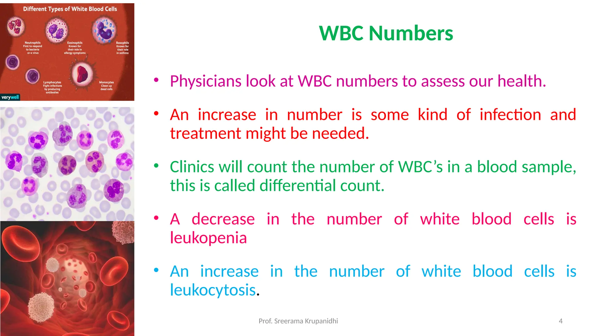 Lecture-4 WBCs and their absolute count.pptx