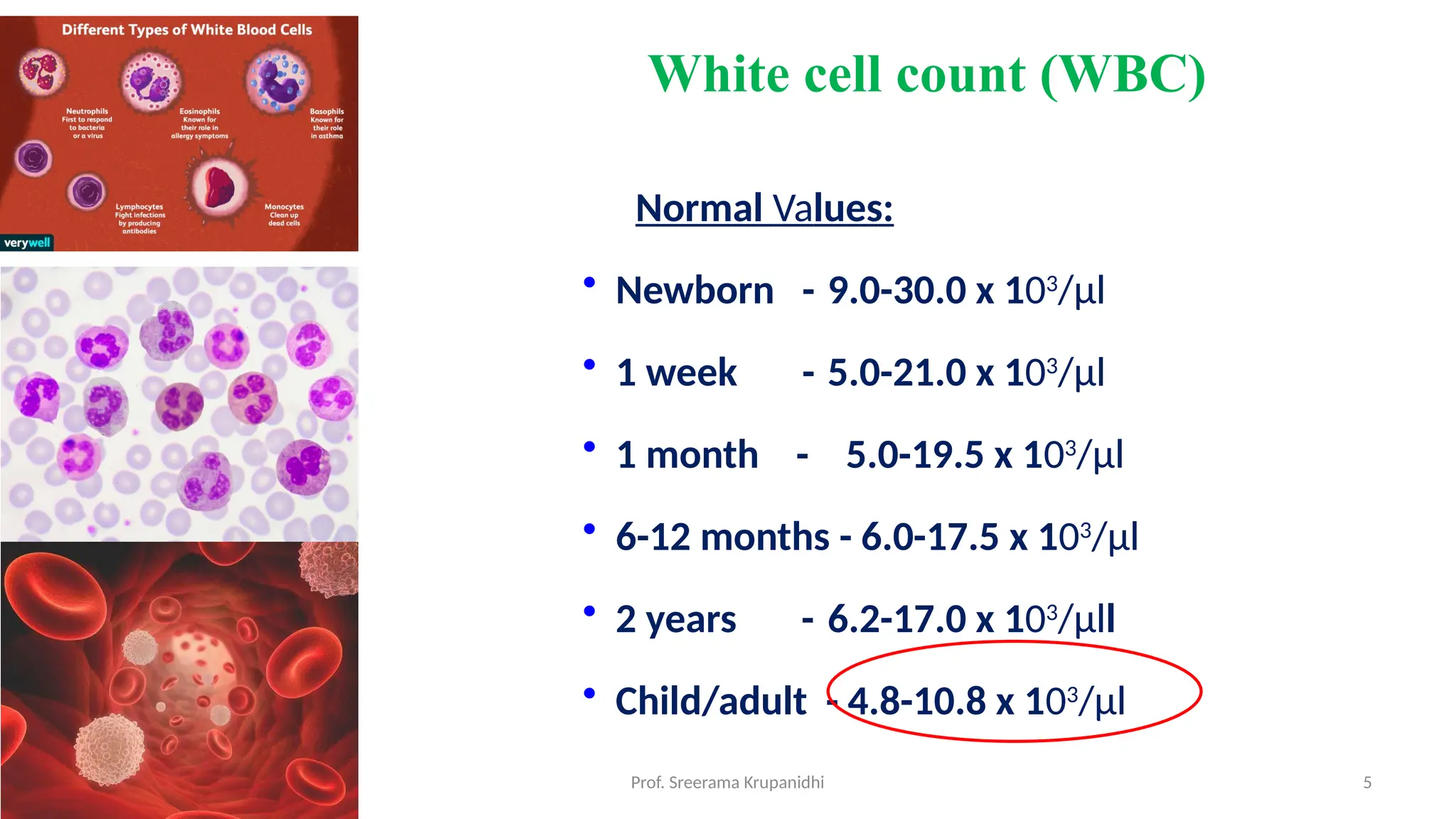 Lecture-4 WBCs and their absolute count.pptx