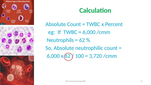 Lecture-4 WBCs and their absolute count.pptx