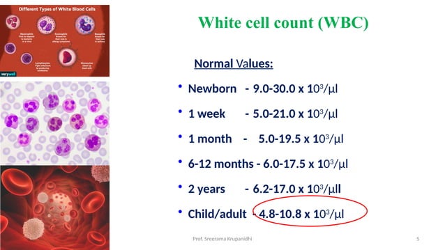 Lecture-4 WBCs and their absolute count.pptx