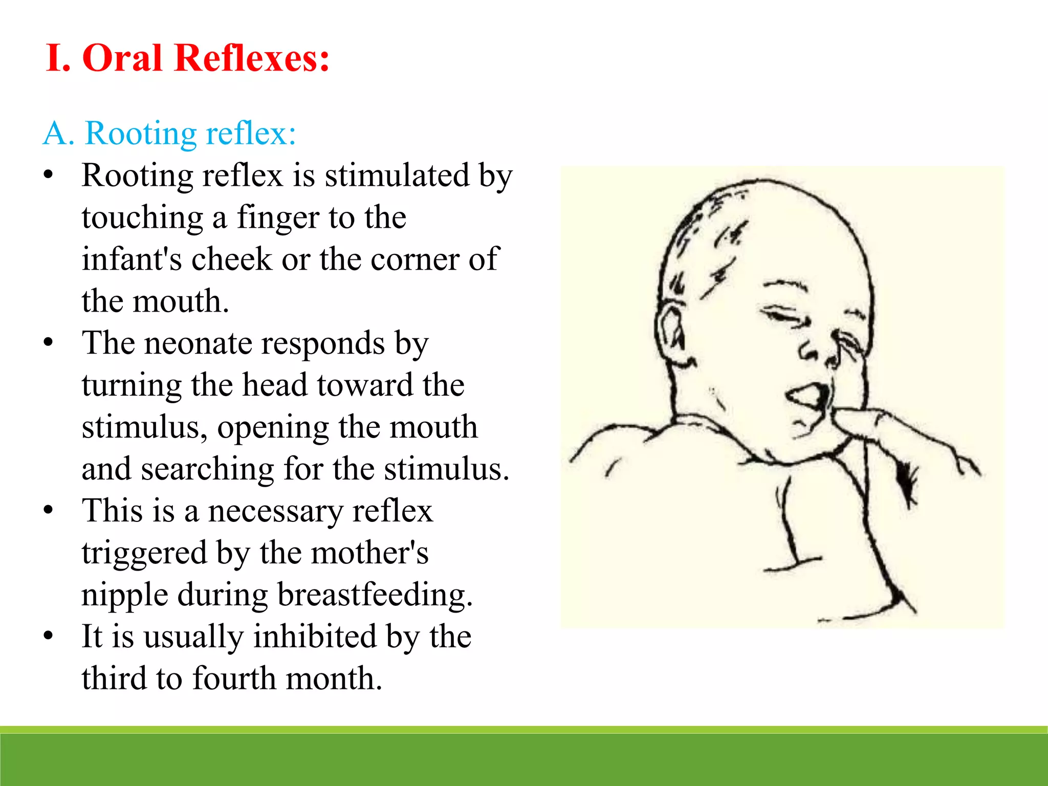 Lecture 5. Neonatal reflexes | PPTX