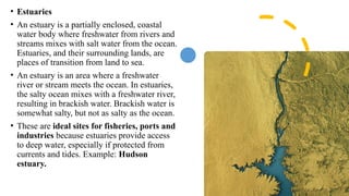 Title: Comprehensive Overview of Lake Types and Their Formation ...