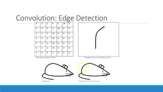 Lecture-5-Deep-Computer-Vision-CNN-03032026-104325am (1).pdf