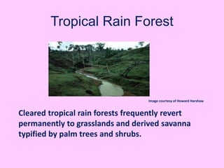 Lecture-5-Forests-of-the-World-III.pptx
