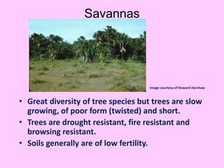 Lecture-5-Forests-of-the-World-III.pptx