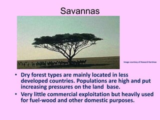 Lecture-5-Forests-of-the-World-III.pptx