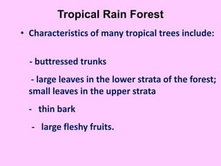 Lecture-5-Forests-of-the-World-III.pptx