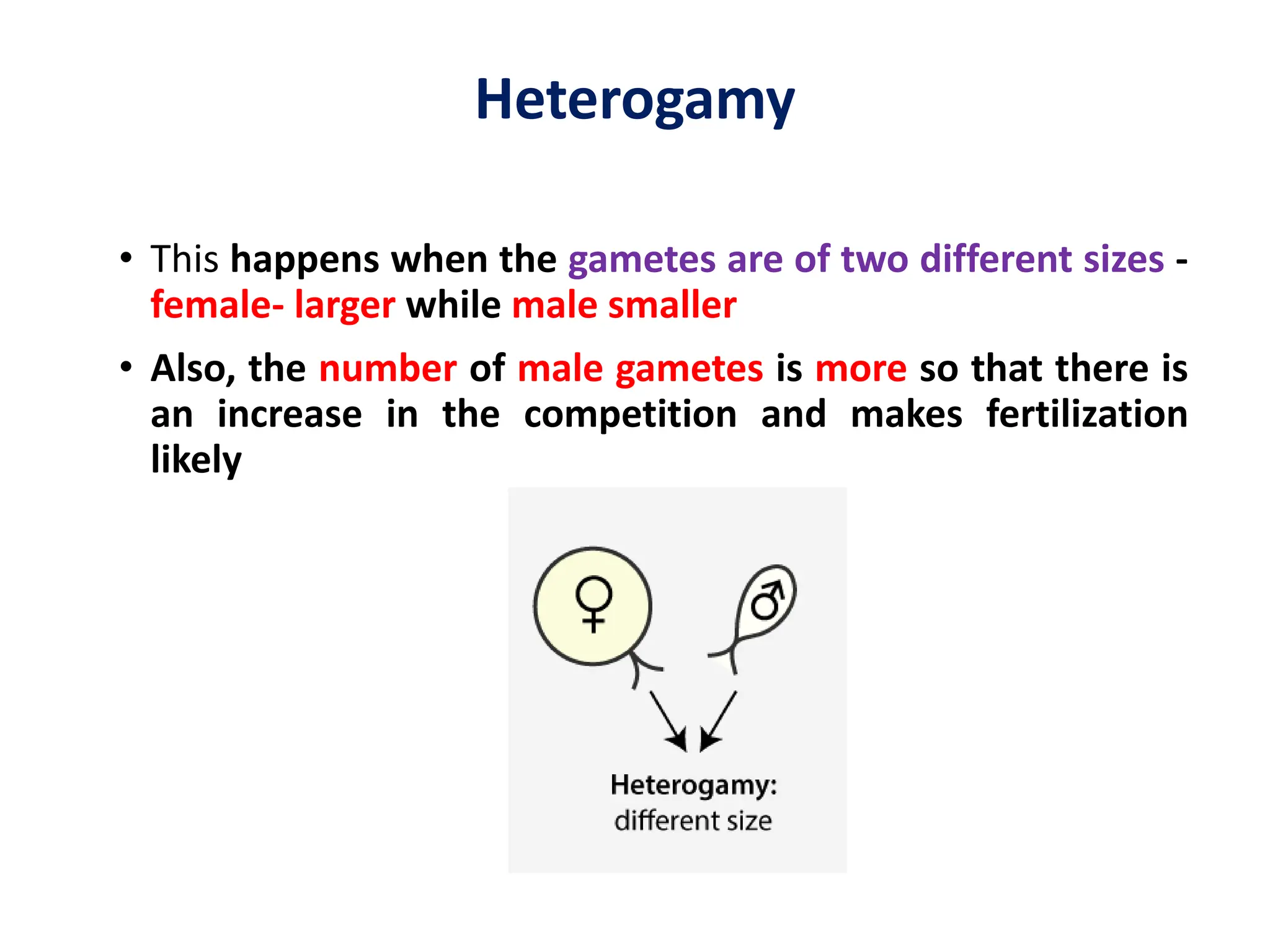 Lecture - 5- gametogenesis and syngamy in plants | PPT Lecture - 5- gametogenesis and syngamy in plants | PPT