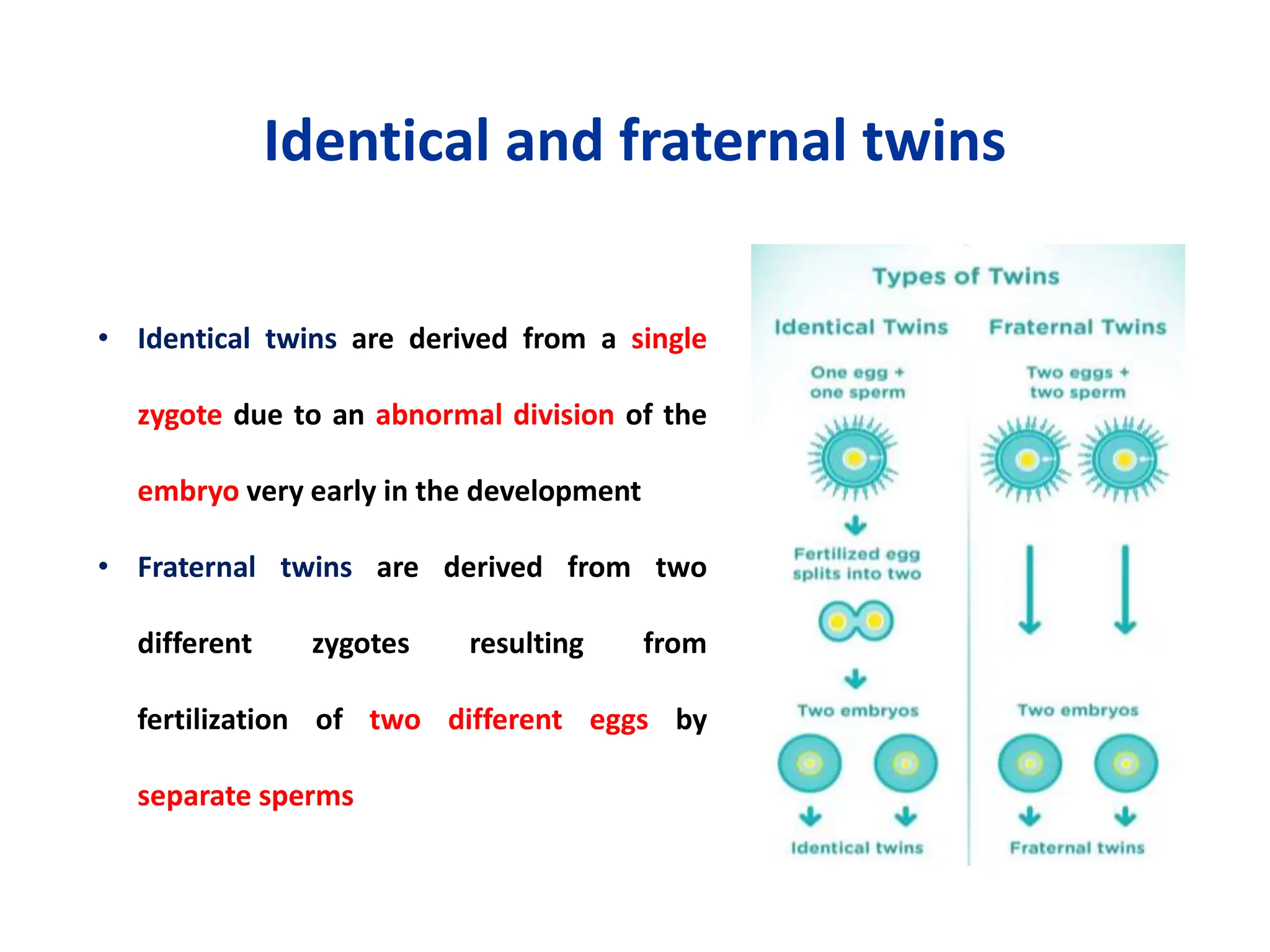 Lecture - 5- gametogenesis and syngamy in plants | PPT Lecture - 5- gametogenesis and syngamy in plants | PPT