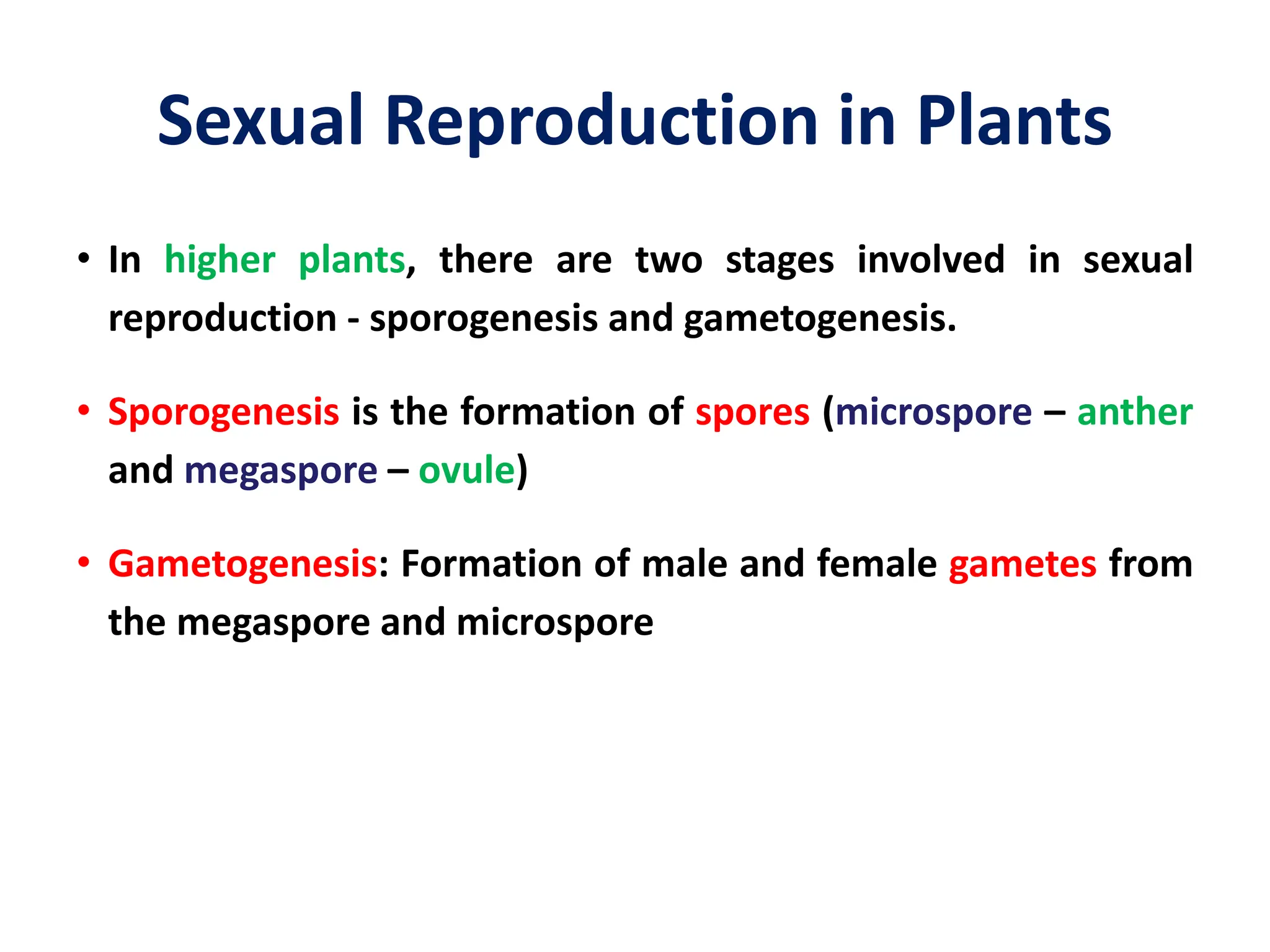 Lecture - 5- gametogenesis and syngamy in plants | PPT
