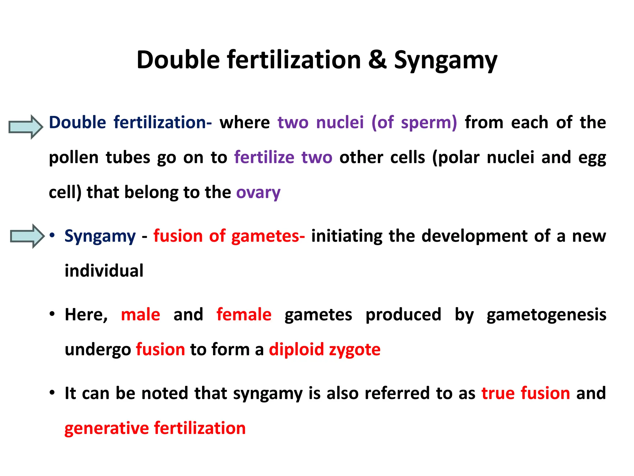 Lecture - 5- gametogenesis and syngamy in plants | PPT Lecture - 5- gametogenesis and syngamy in plants | PPT