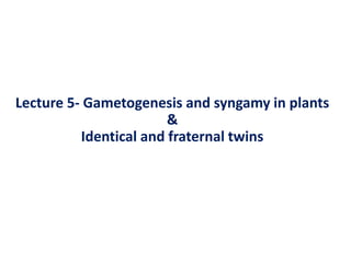 Lecture - 5- gametogenesis and syngamy in plants | PPT | Infertility ...
