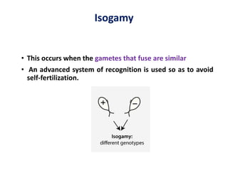 Lecture - 5- gametogenesis and syngamy in plants | PPT