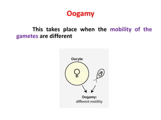 Lecture - 5- gametogenesis and syngamy in plants | PPT
