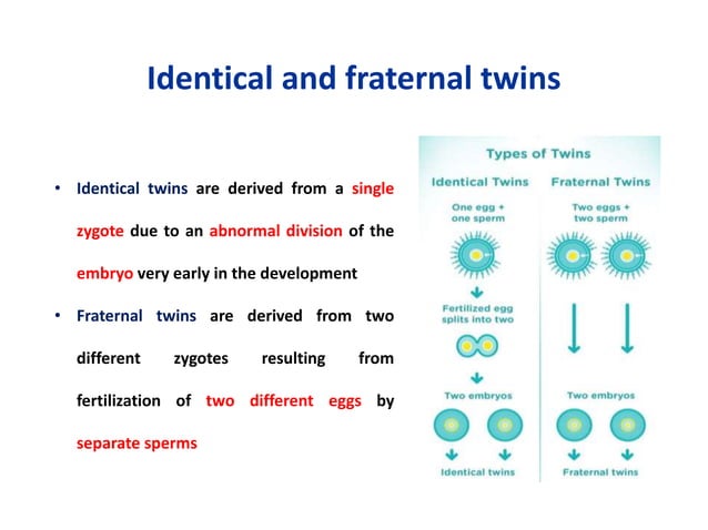 Lecture - 5- gametogenesis and syngamy in plants | PPT | Infertility ...