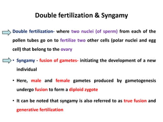 Lecture - 5- gametogenesis and syngamy in plants | PPT | Infertility ...